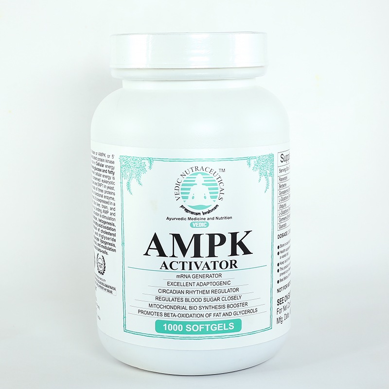 AMPK Activator – 1000 Capsules – Vedic Nutraceuticals